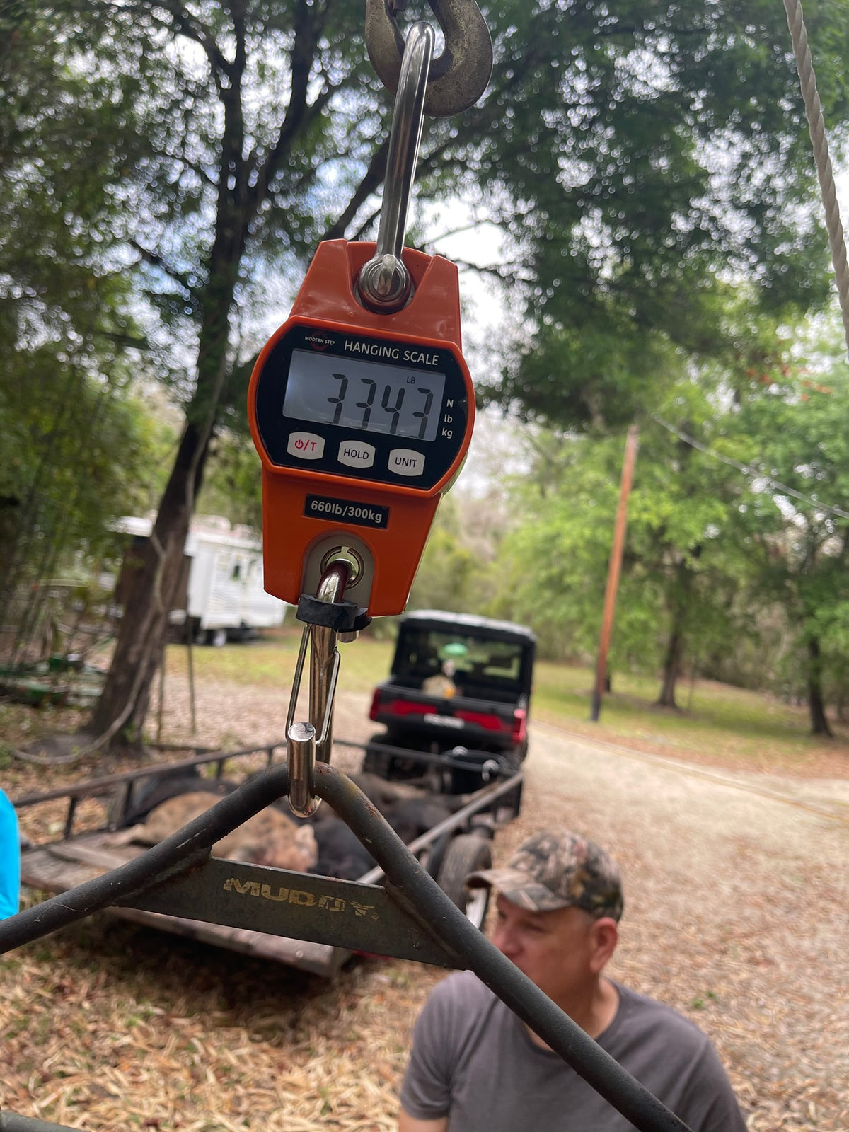 Myth: Pig Brig Can’t Hold Big Pigs - DEBUNKED! | Pig Brig® Trap Systems ...