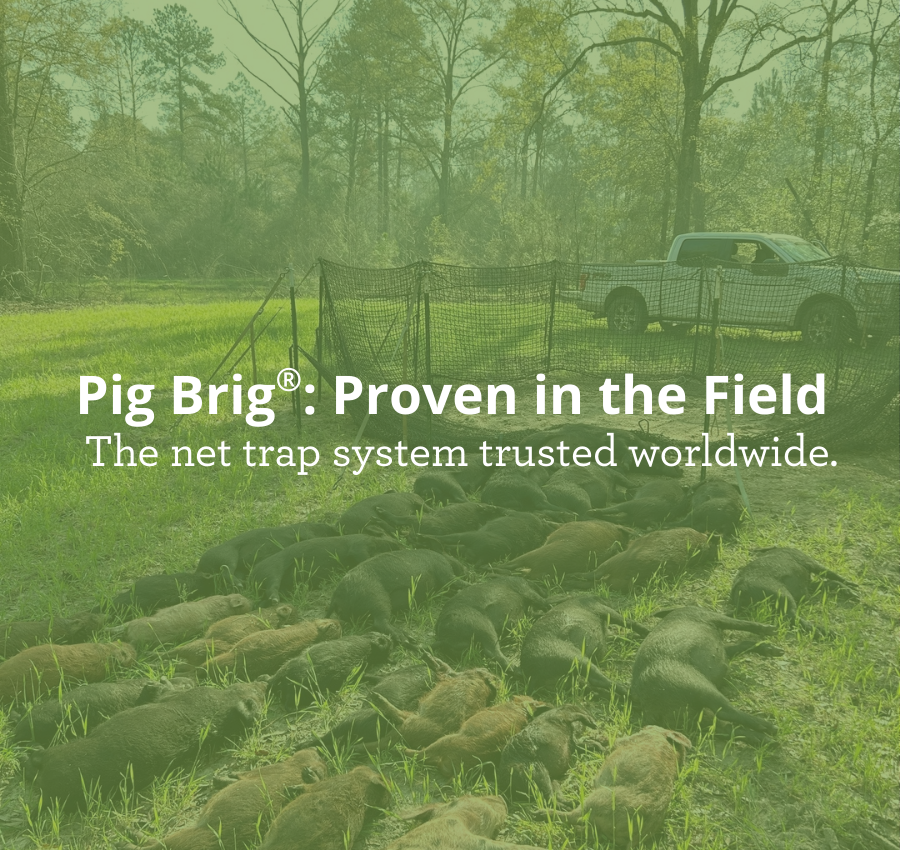 Net Traps Aren’t New. Proven Ones Are. | Pig Brig Trap Systems